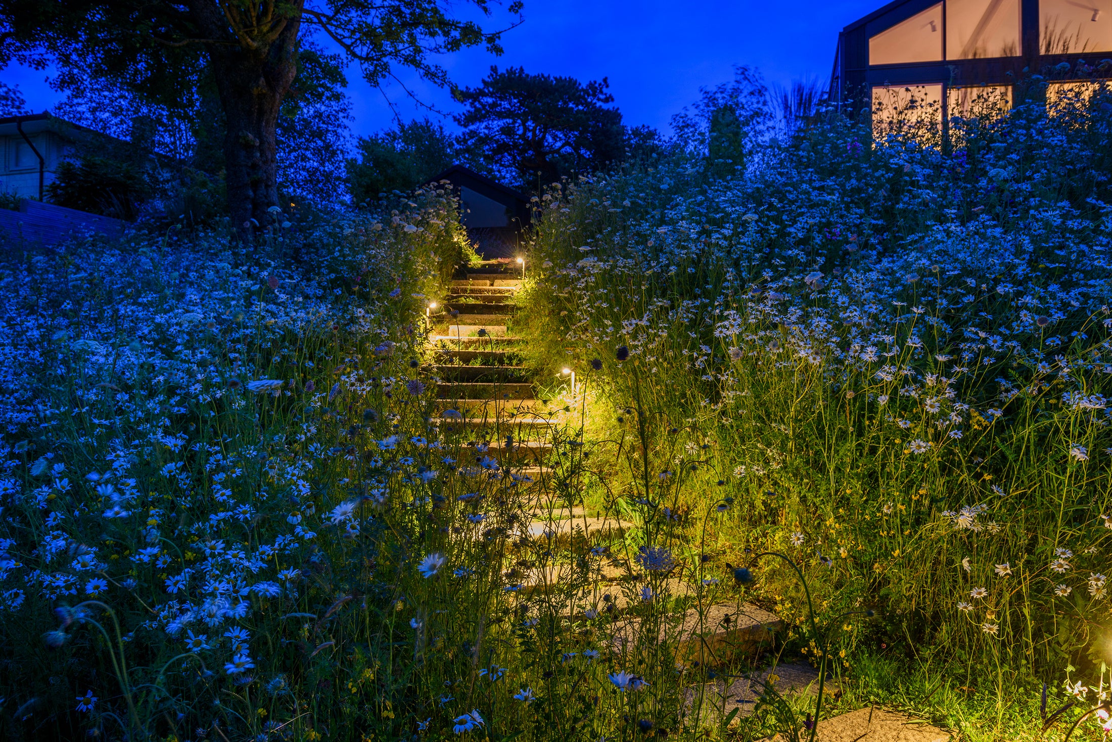 Moonlight Design: Lighting Specialists | Designer Lighting